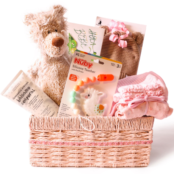 Baby Comfort Essentials Set For Girls - Toys delivery to Moscow